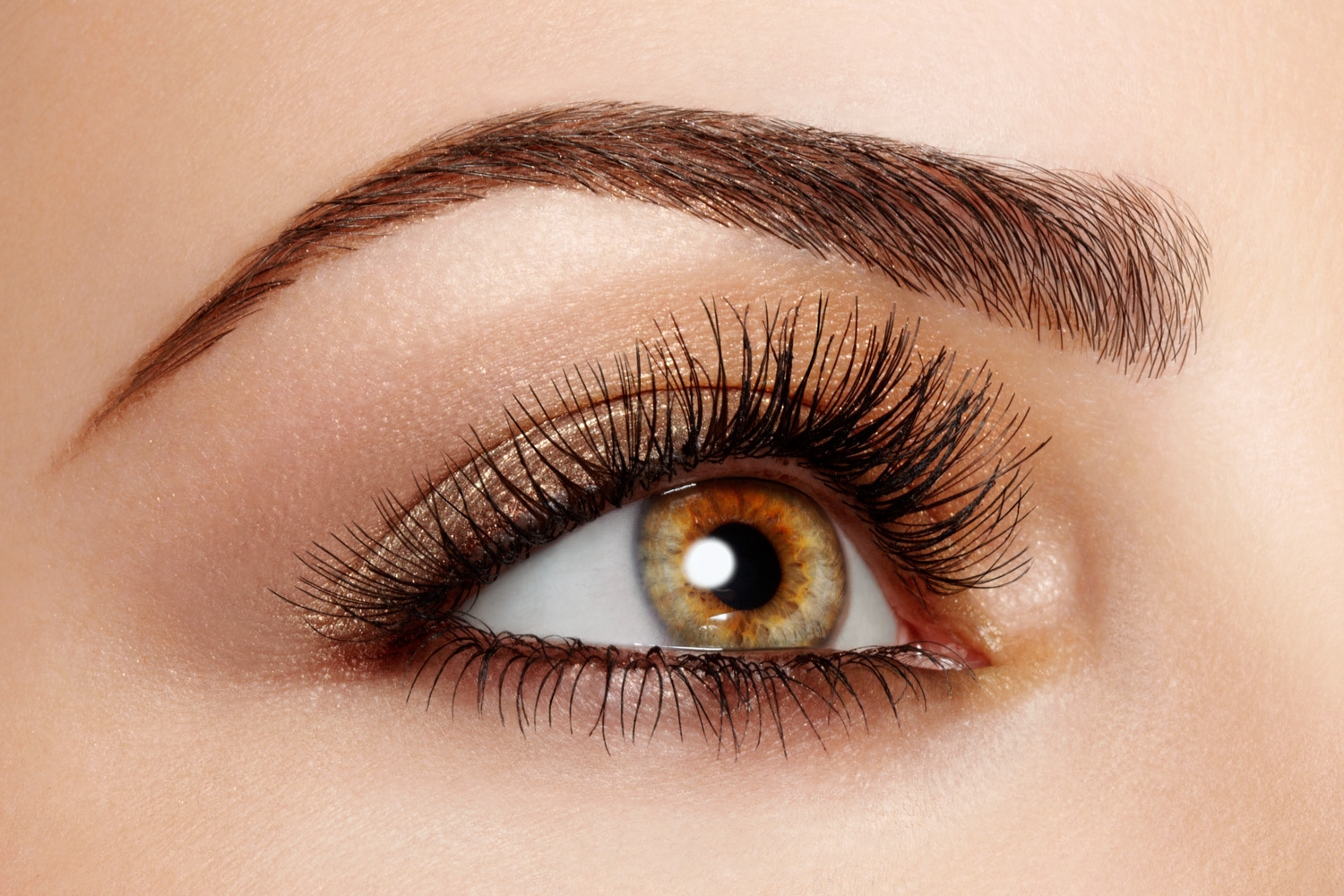 Cách làm đẹp lông mi và cách làm đẹp lông mày mọc dày tự nhiên dành cho ...