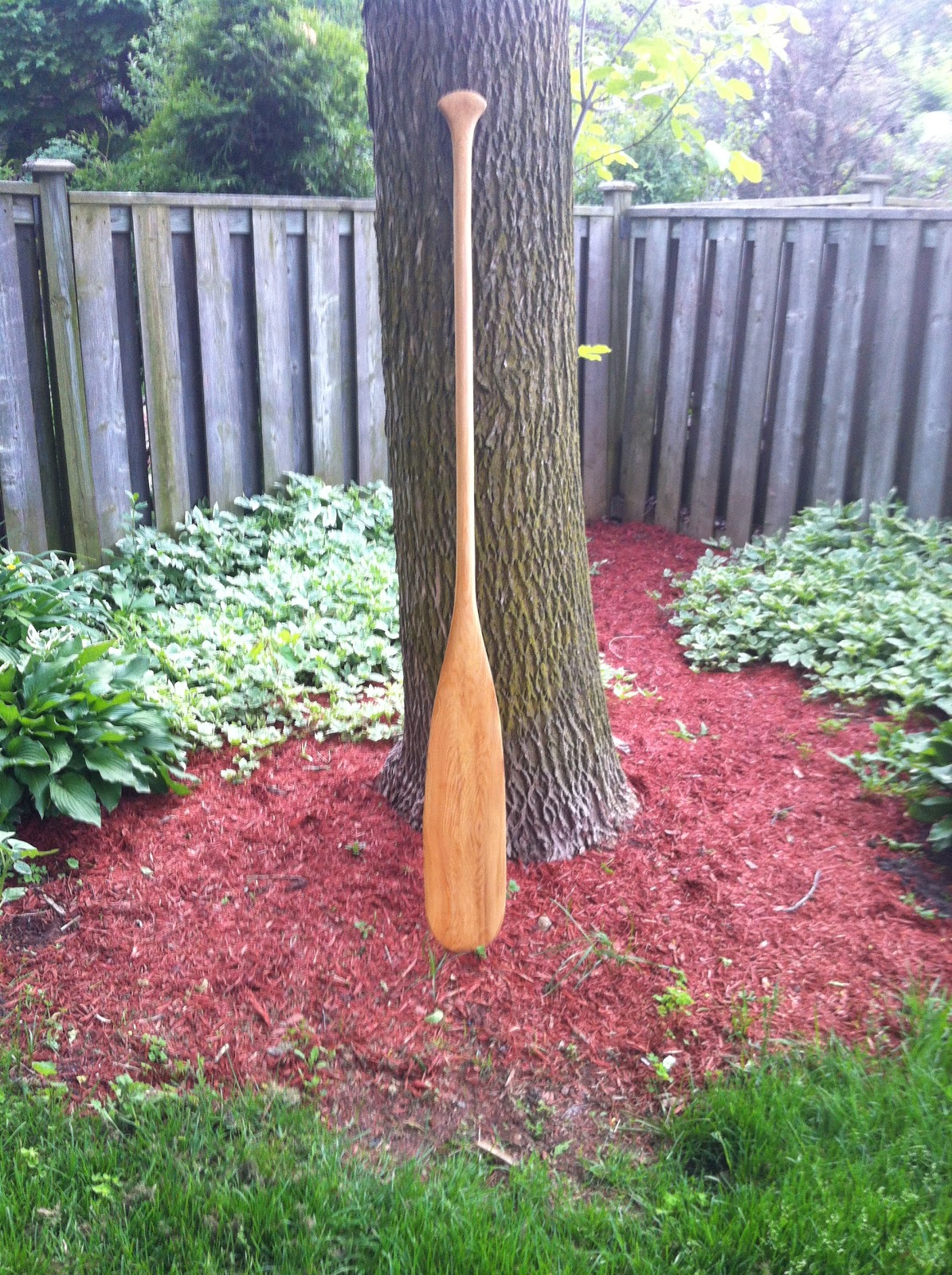 Up The Creek...: Cedar- Beavertail ... Birch Bark (Part 2)