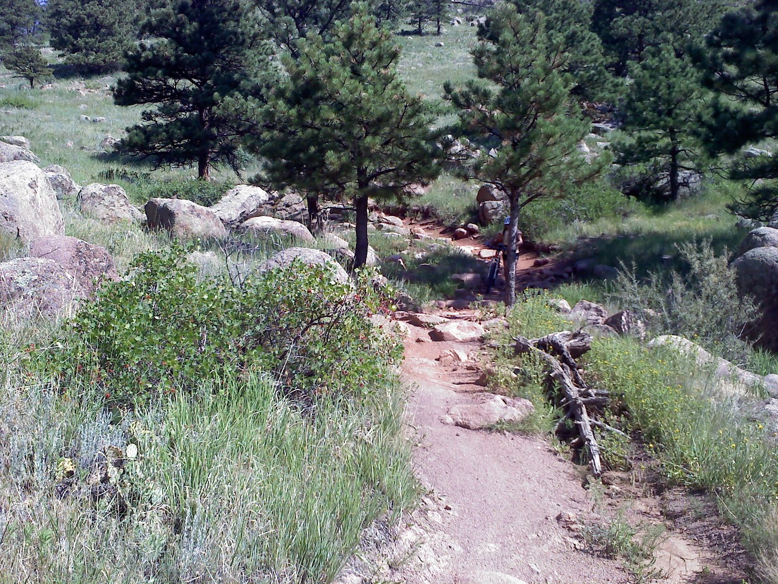 Mountain Biking Nebraskan: Hall Ranch / Lyons, CO