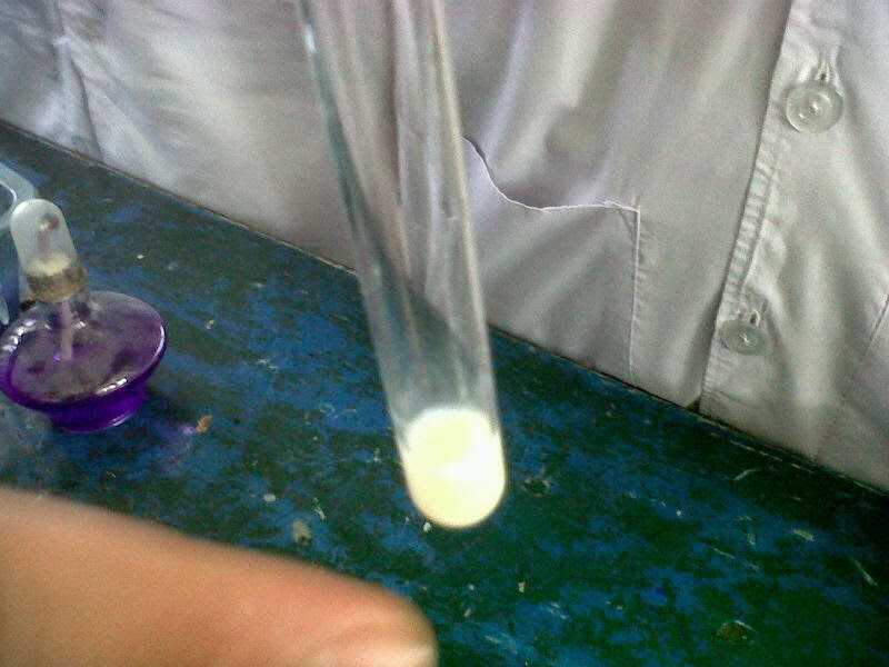 LAPORAN PRAKTIKUM UJI KANDUNGAN URINE MANUSIA ~ NM Blog's