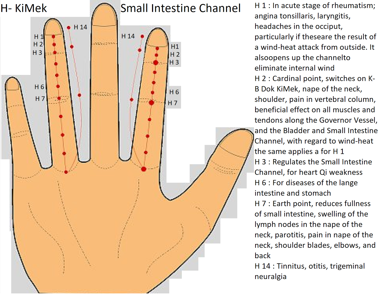 PABLOHEILPRAXIS: KOREAN HAND ACUPUNCTURE