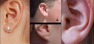 DO YOU KNOW WHY?: Do You Know...