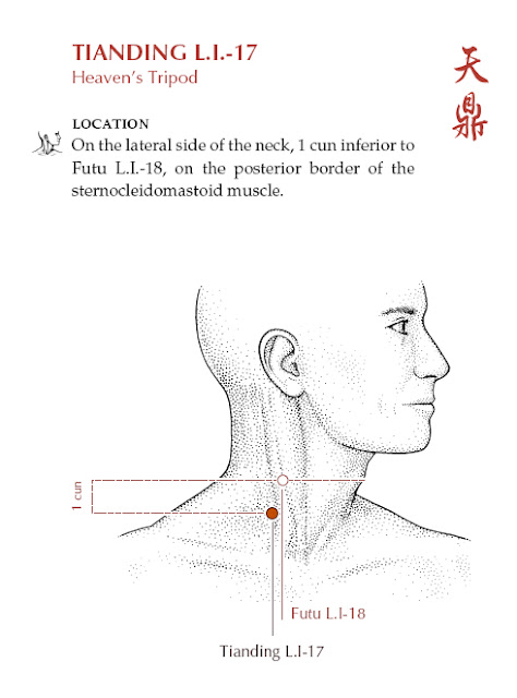 Acupuncture Masters: Acupuncture Points Database - Large Intestine channel