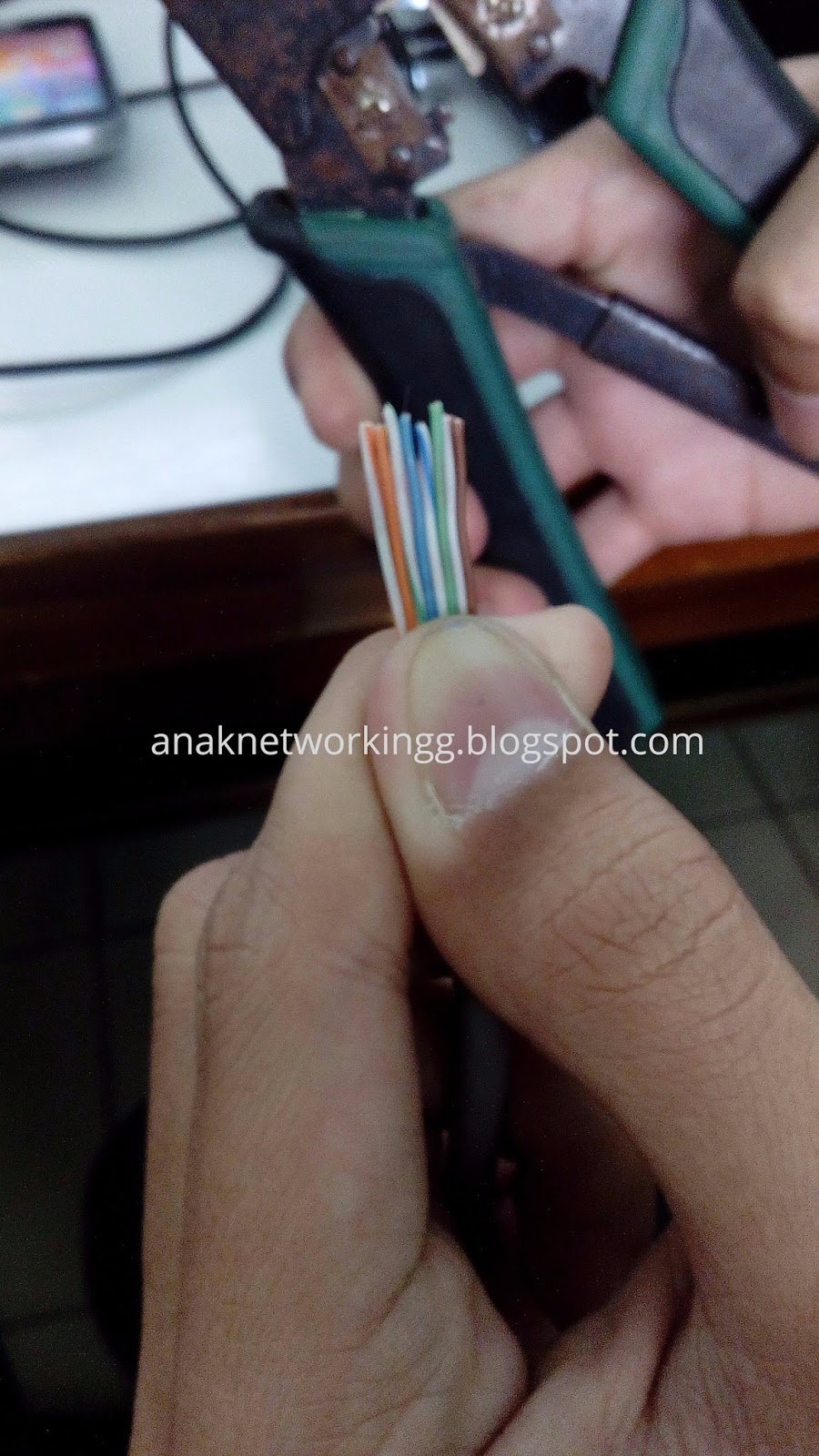 Media Transmisi Data |Cramping UTP|