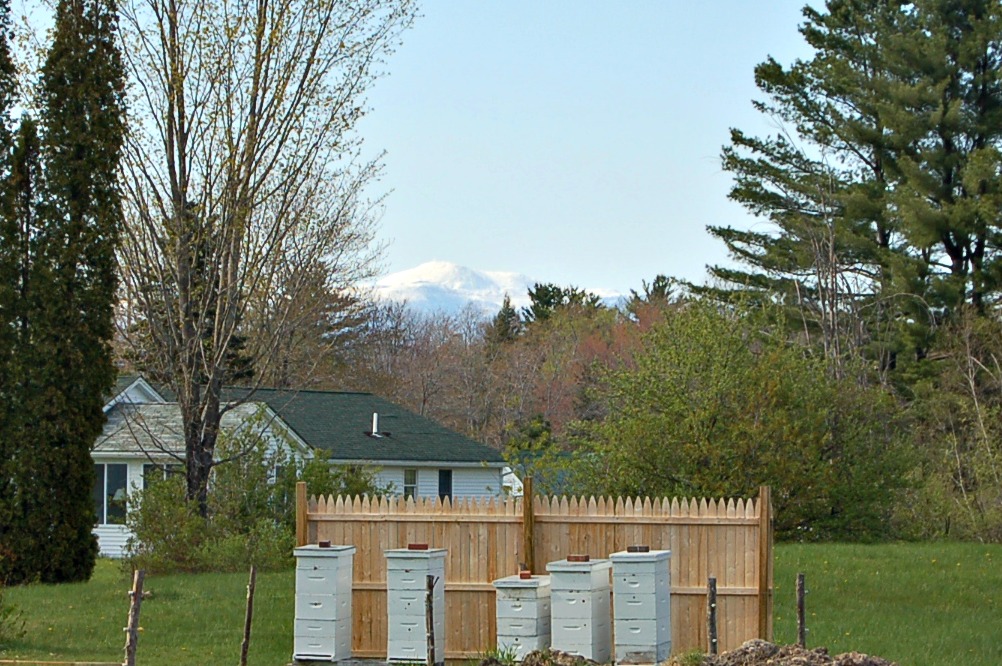 Grand View Farm: Growing Update