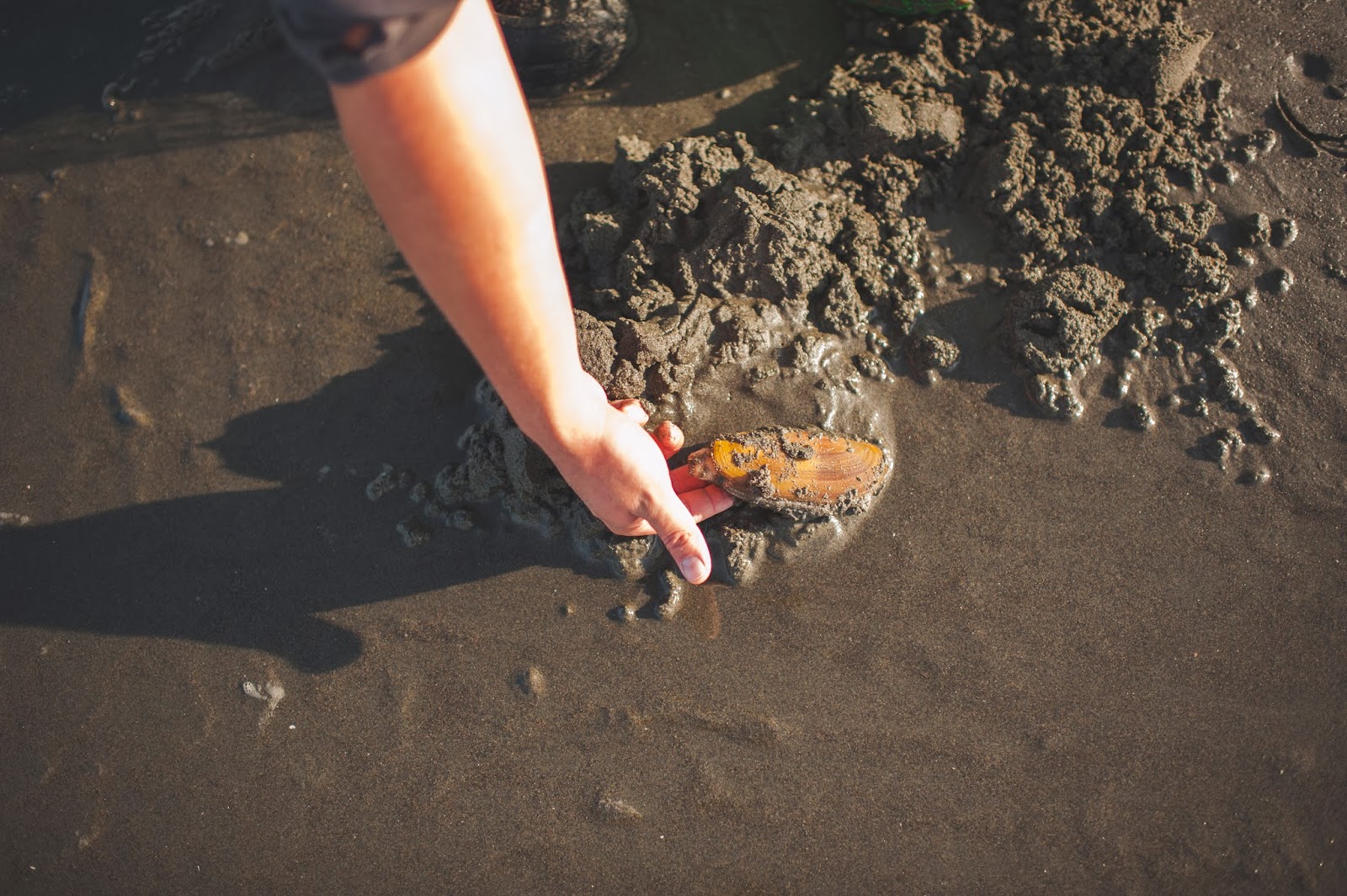 Spartan Fishing & Outdoors: Tutorial: Harvesting Razor Clams