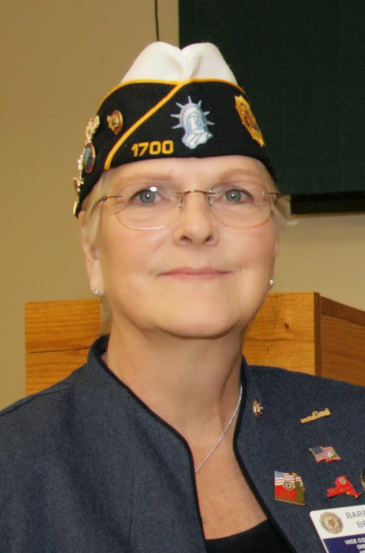New York American Legion News: Legionnaire Testifies on Suicide Epidemic