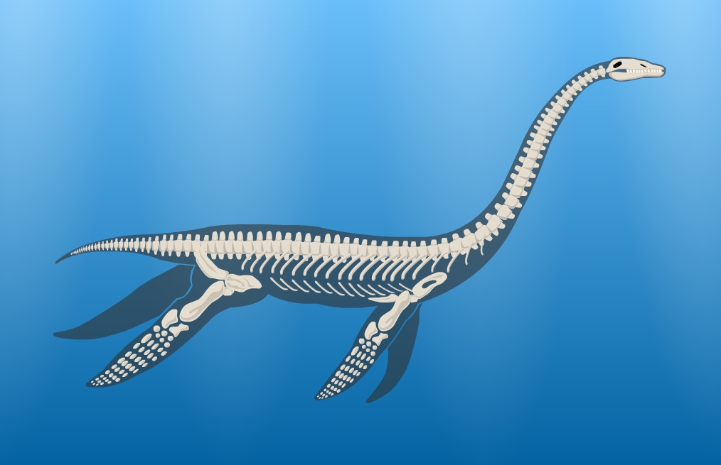 Collective Thinking: June 2011