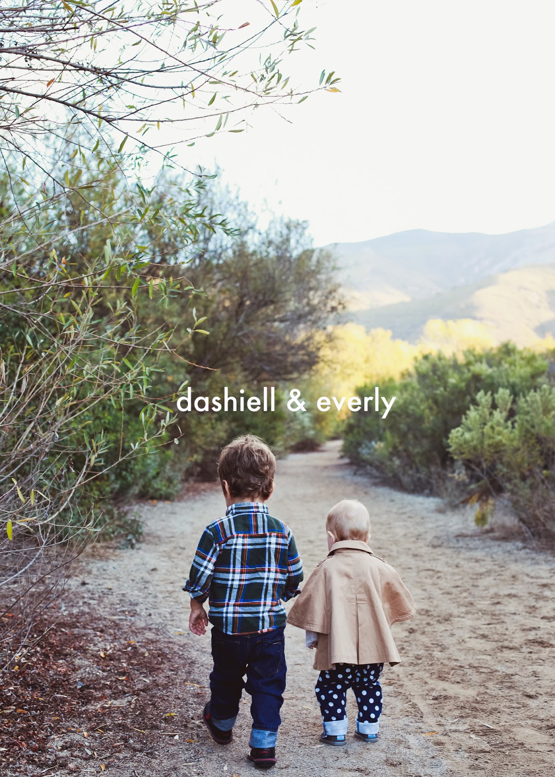 courtney mehaffey photography