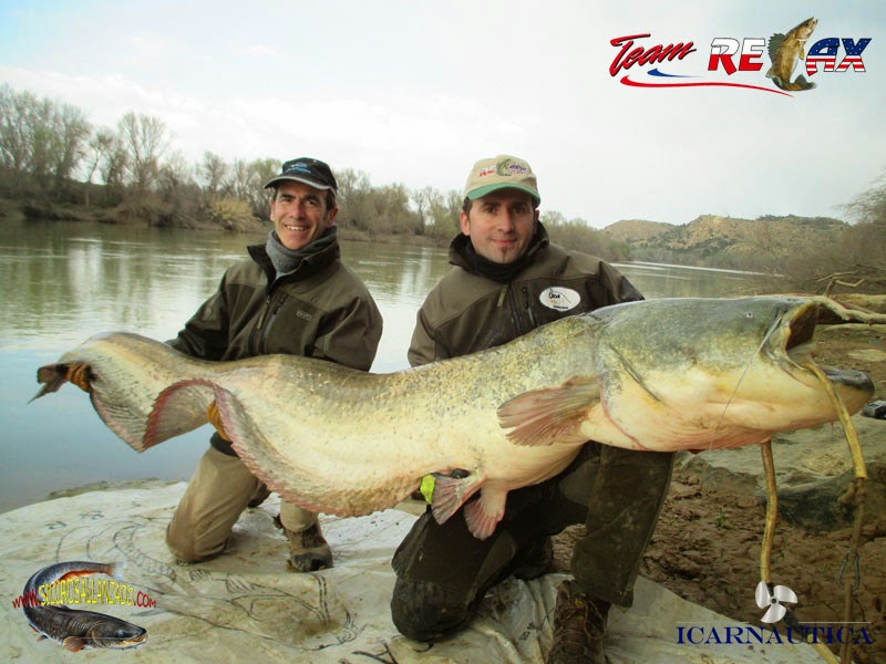 PESCA CON GUÍA DEL SILURO AL LANZADO Y PELLETS CON ALBERTO MILLÁN ...