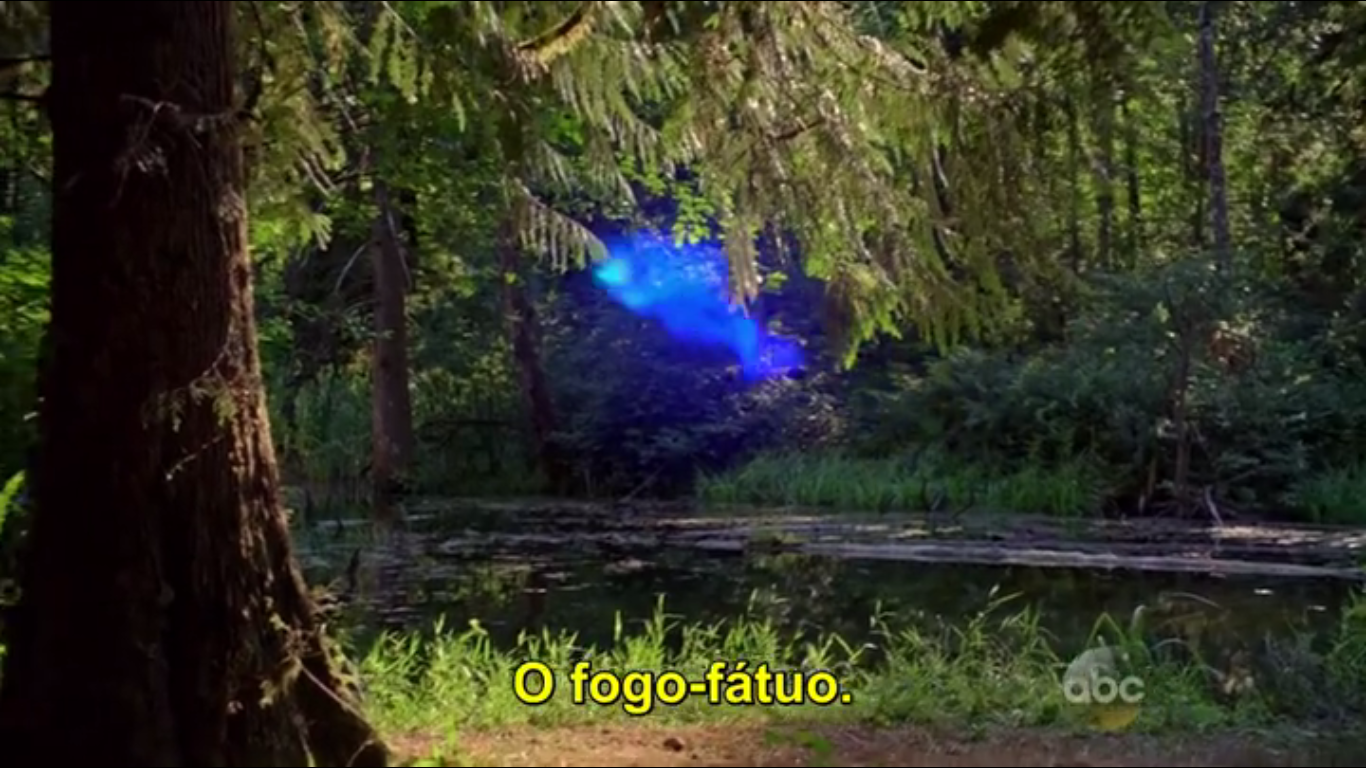 BIBOCA AMBIENTAL : MUNDO ESTRANHO - “ fogo-fátuo”