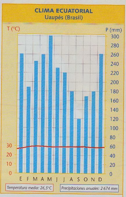 Blog de Sociales 1º ESO : PAISAJE ECUATORIAL