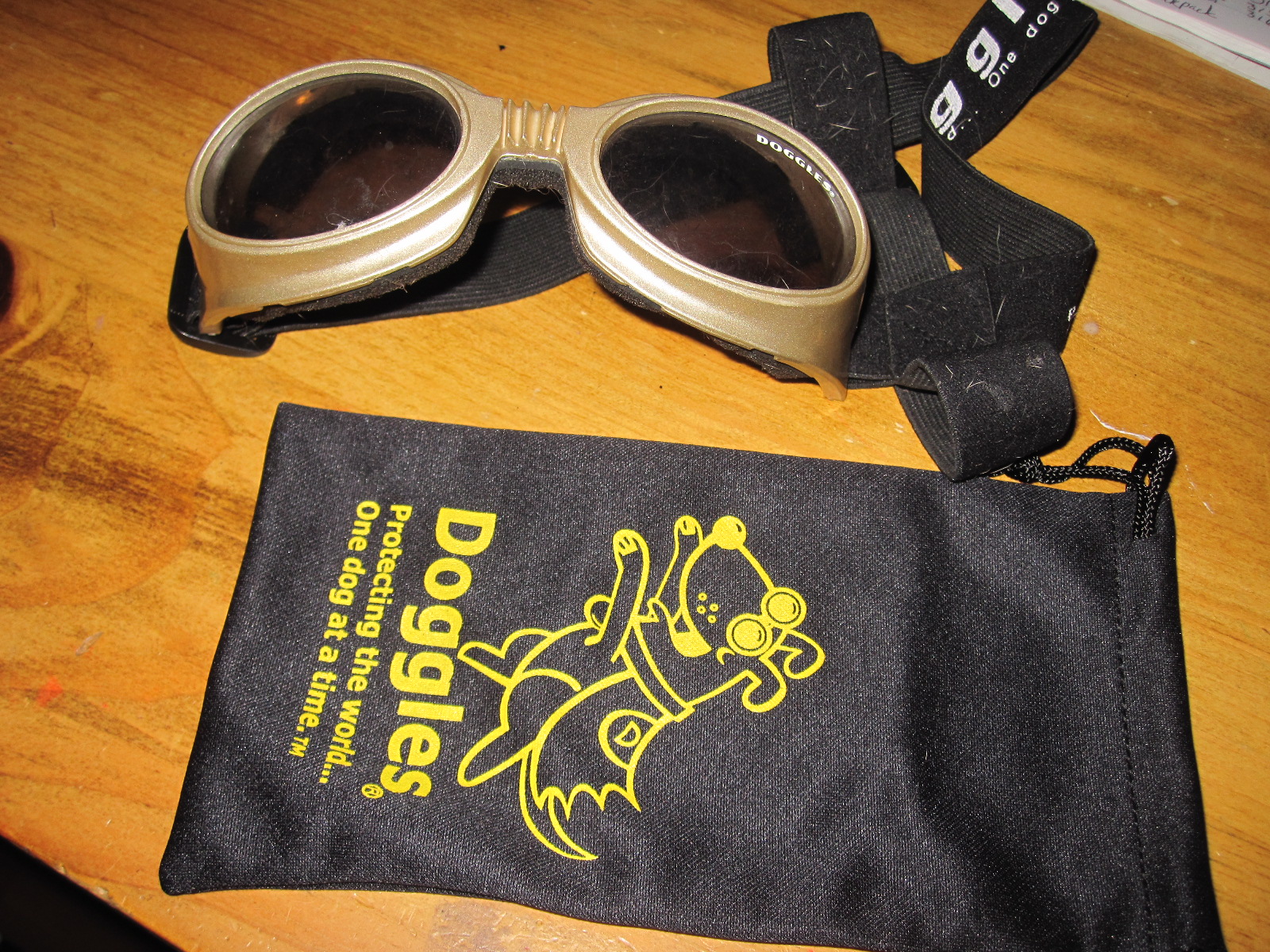 Travelin' Jack's Dog Blog: Doggles Are Dandy! And so is ABQ Trolley ...