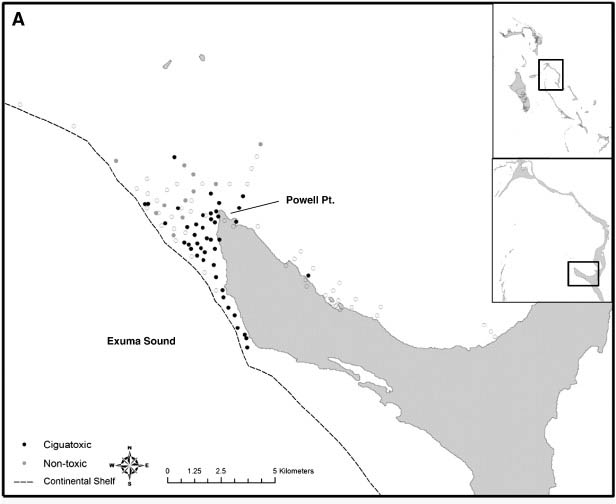 The Fisheries Blog: The Latest on Ciguatera Fish Poisoning