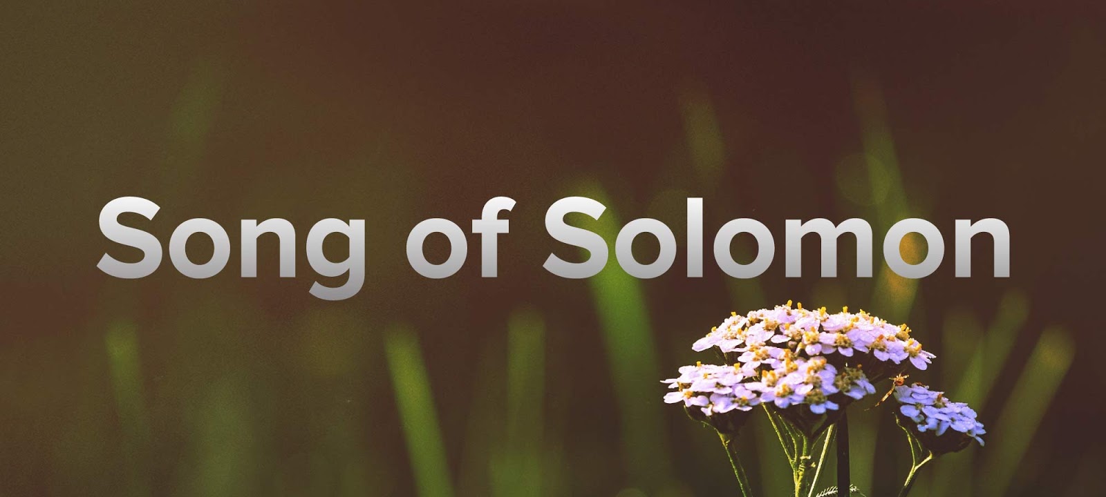 ANG DAKILANG PANGAKO (The Great Promise): Awit ni Solomon