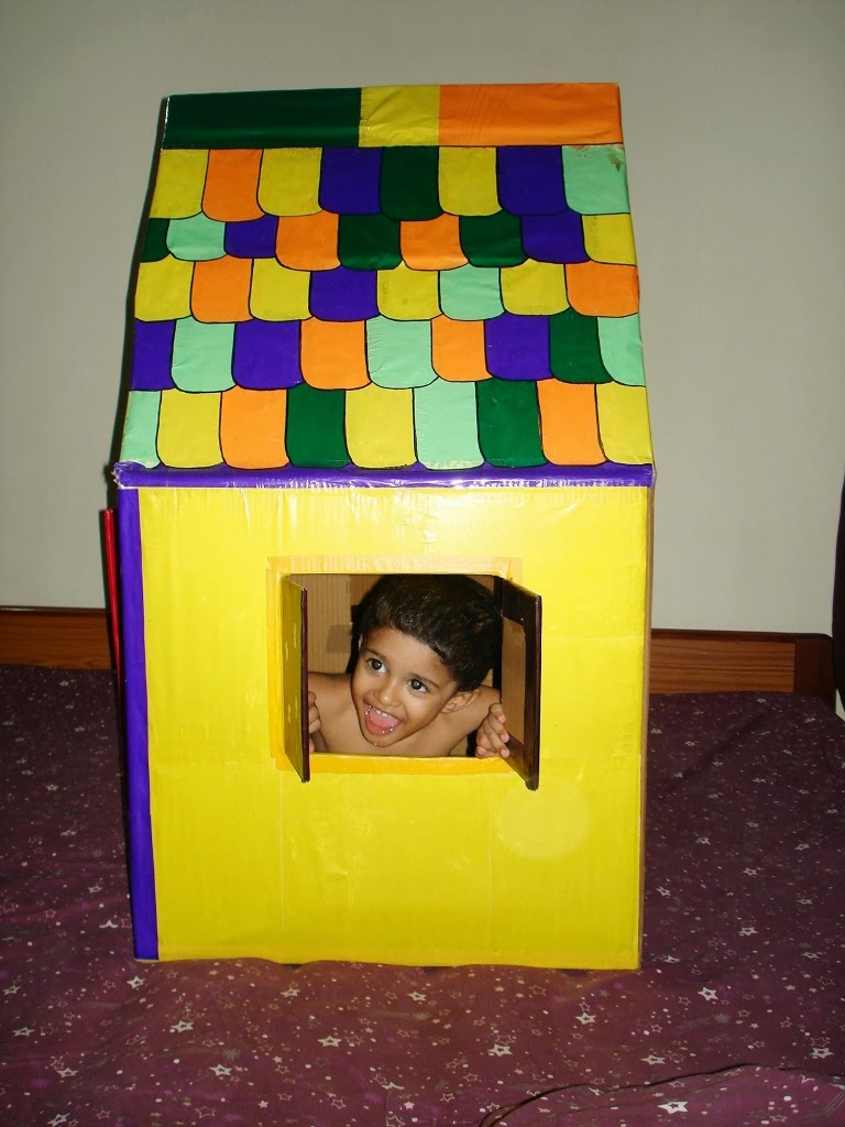 House on the Rock: Cardboard Carton House