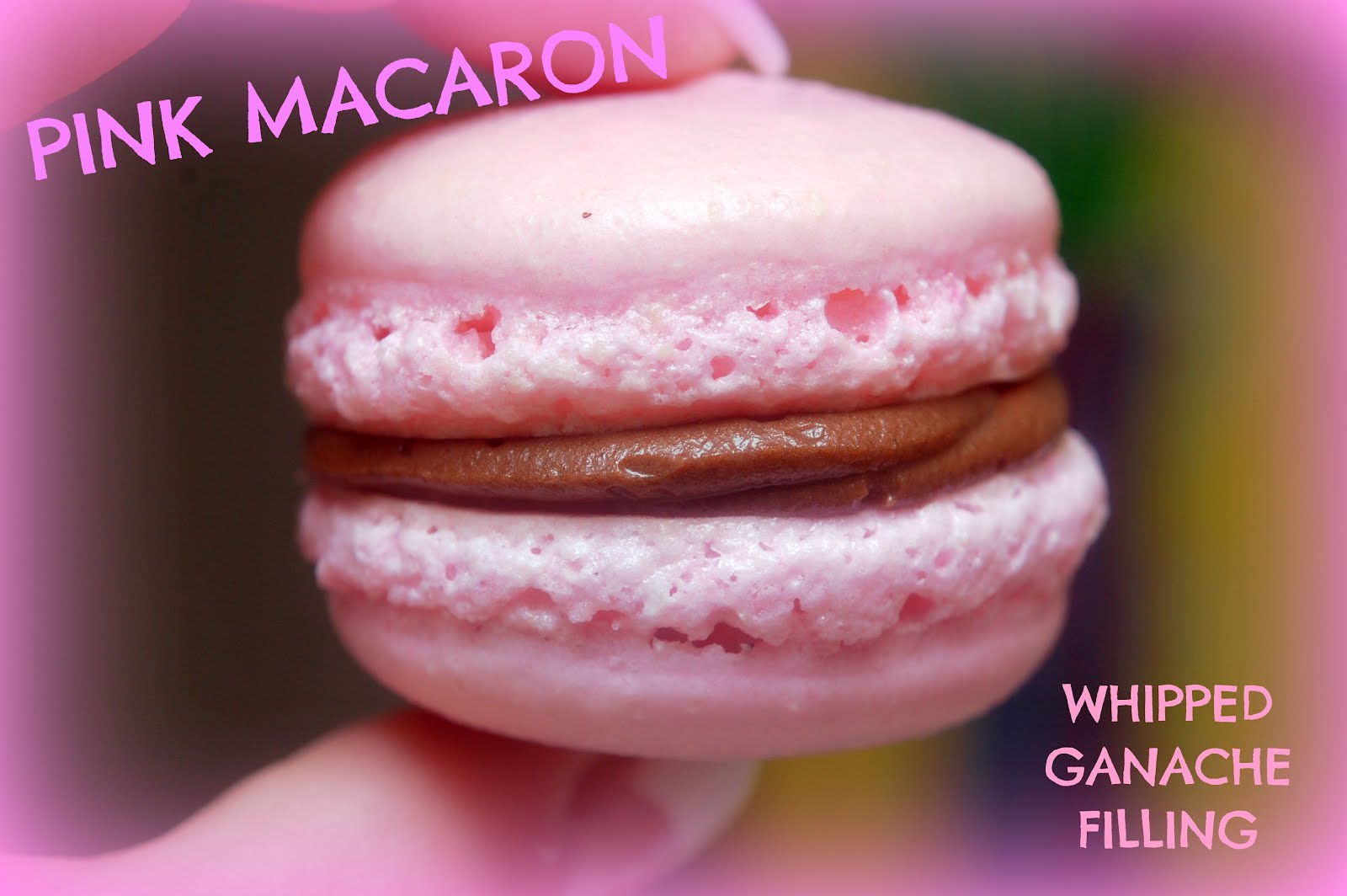 PINK MACARON FILLED WITH WHIPPED CHOCOLATE GANACHE - Hugs and Cookies XOXO