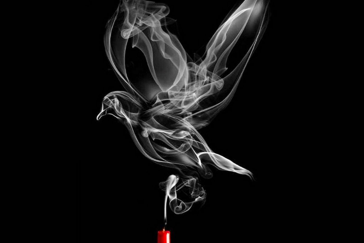 El Kontrainformador: PALOMA DE HUMO