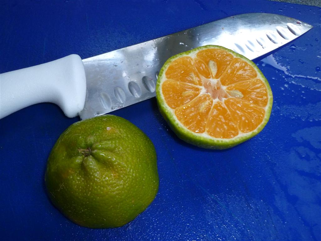 Guam Firehouse Cook: Lemon Finadene- Guam BBQ Dipping Sauce