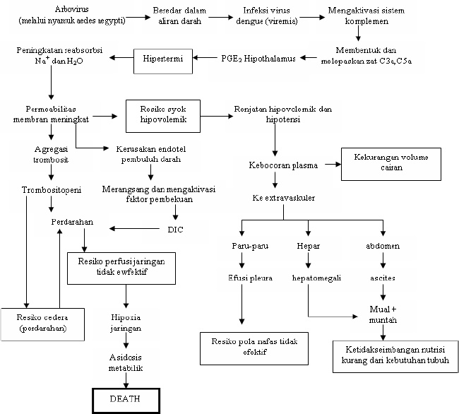 Sharing for Nurse World: Asuhan Keperawatan pada Anak dengan DBD / DHF ...
