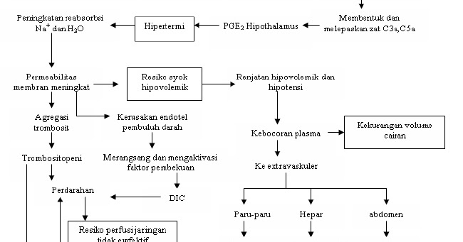 Sharing for Nurse World: Asuhan Keperawatan pada Anak dengan DBD / DHF (Dengue Hemmorhagic Fever)