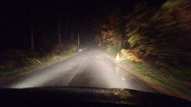 වියරු වැටුනු ගොදුර - Holman Katha