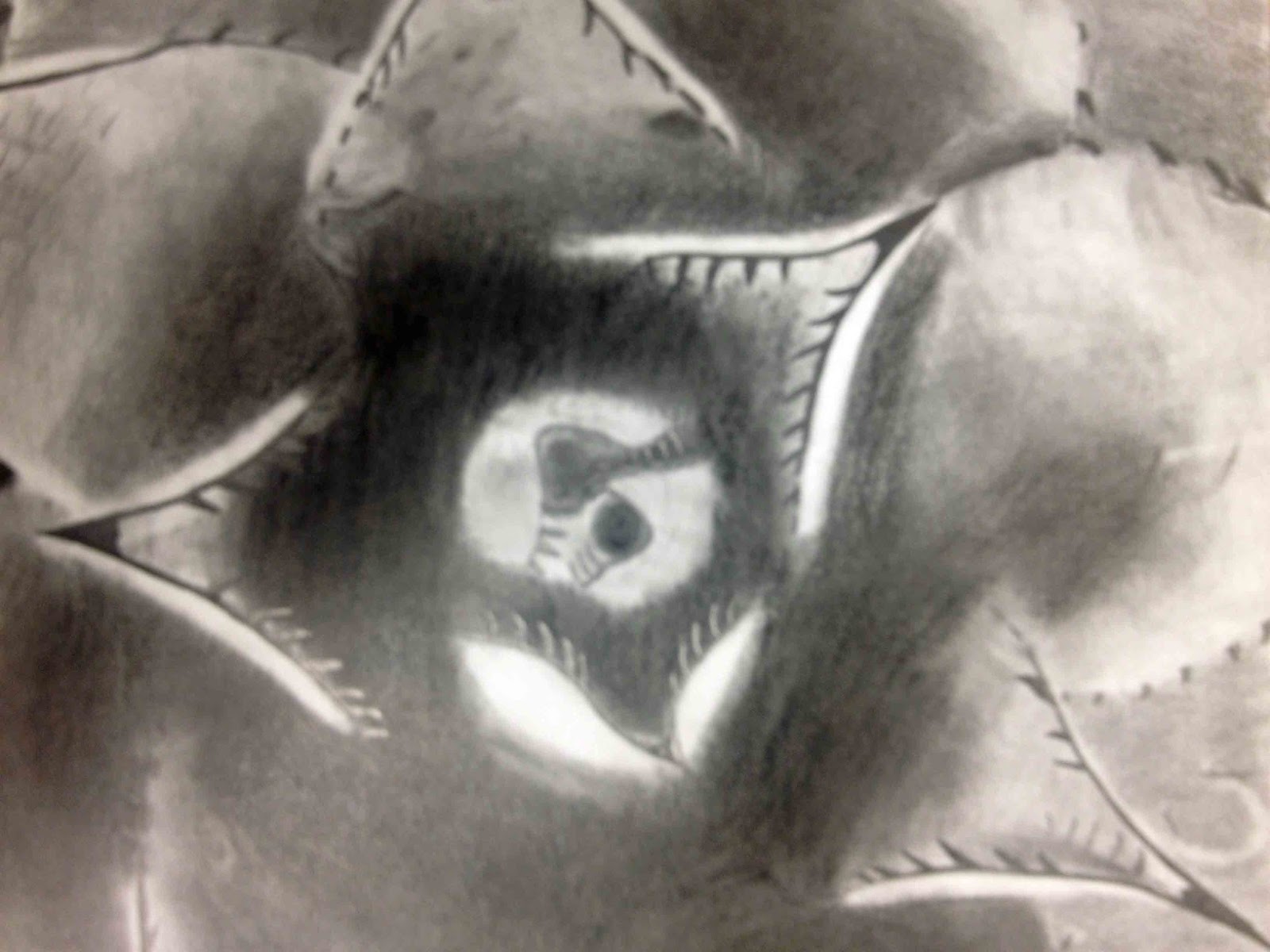 art @ the heart: Grade 9 Graphite Drawings