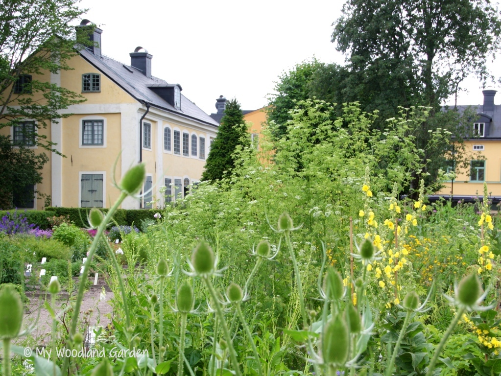 Villa Emilia (My Woodland Garden): Postcards #4: The Linnaeus Garden ...