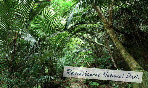 Fun Places in Towoomba: Ravensbourne National Park
