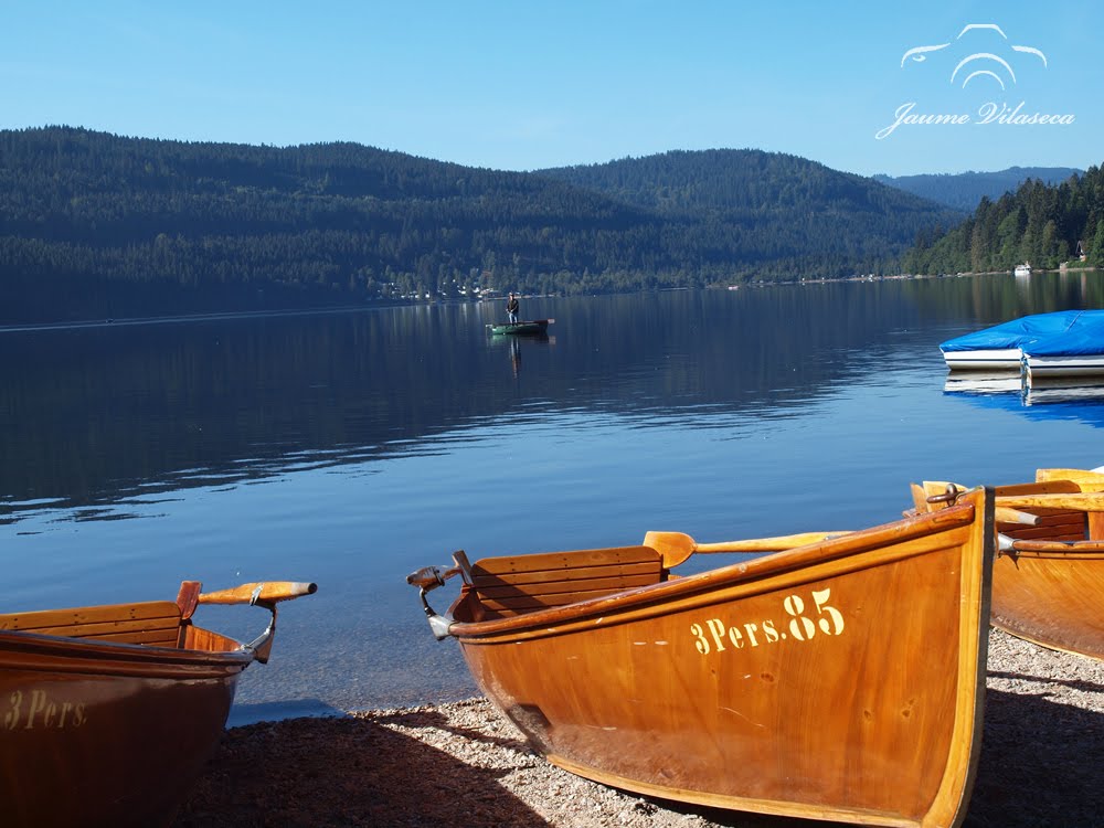 Paisajes: Lago Titisee - Selva Negra - Alemania