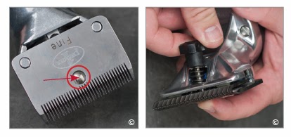 Premier Farm Diary: Common mistakes when operating clipping or shearing ...