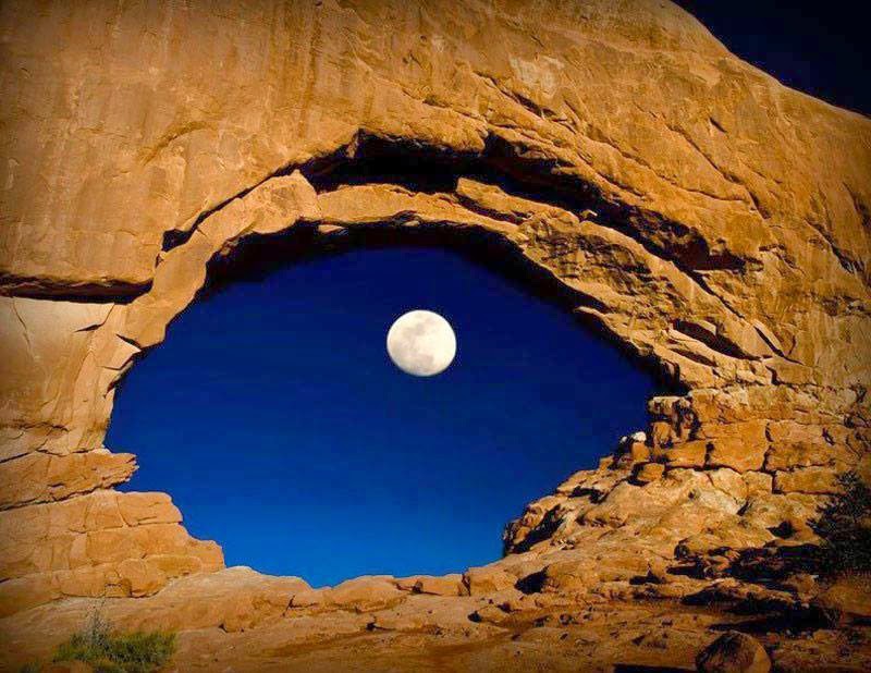 Questions and No Answers: Merge with primordial Nature