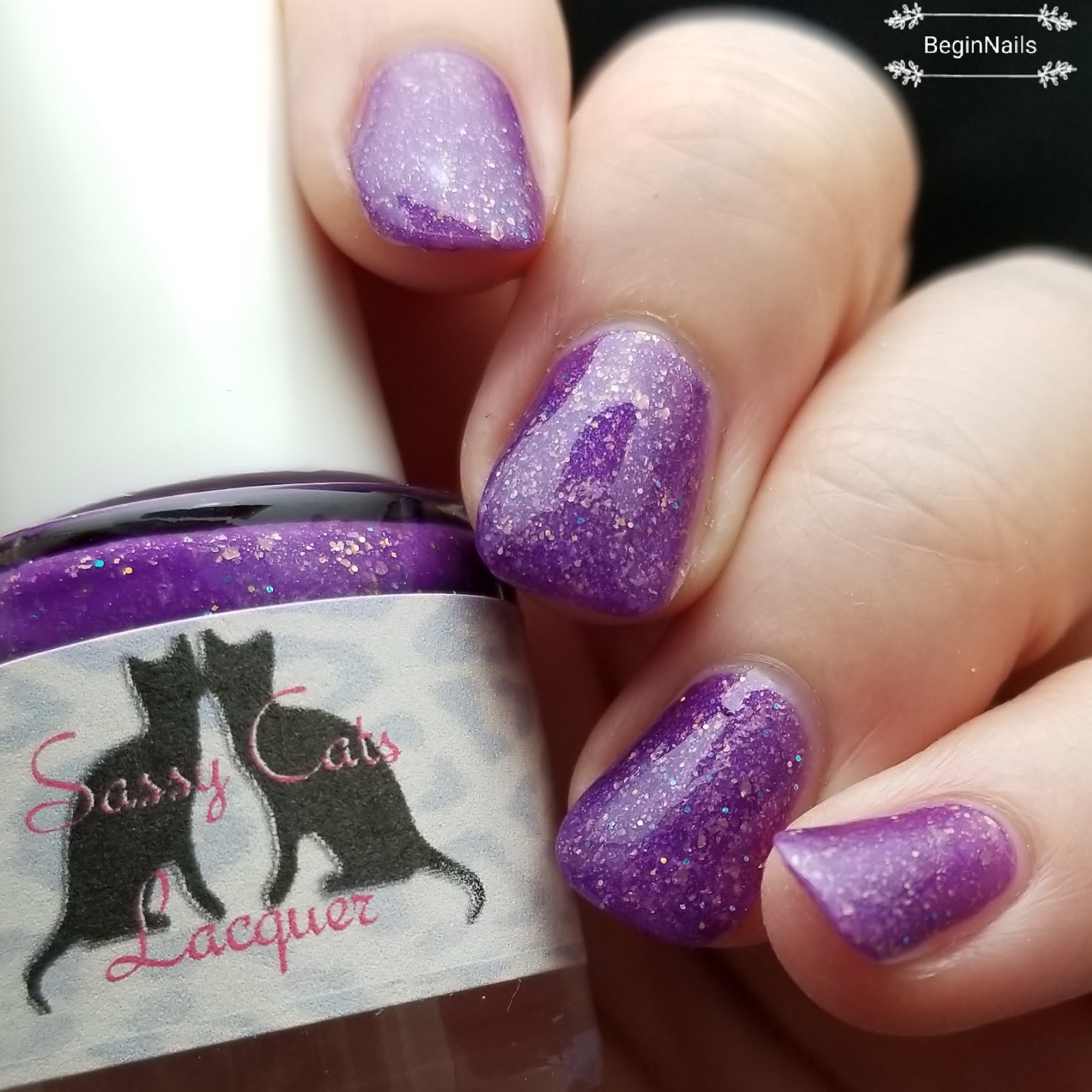 Let's Begin Nails: June Polish Pick Up: Sassy Cats Lacquer