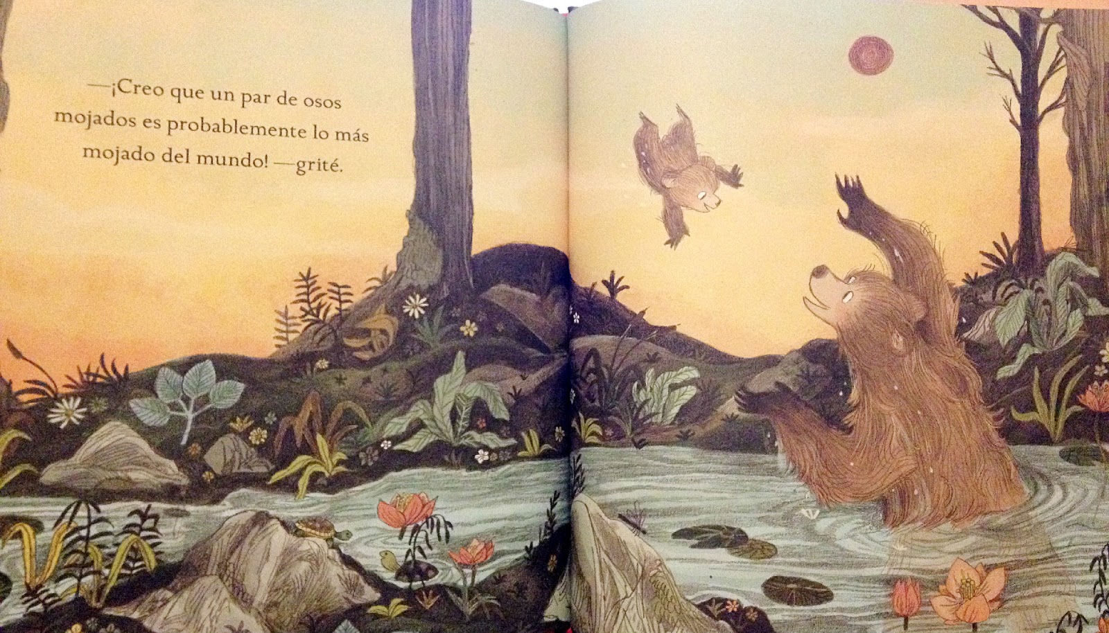 RESEÑA DEL ÁLBUM "OSOS" | Literatura Infantil Respetuosa