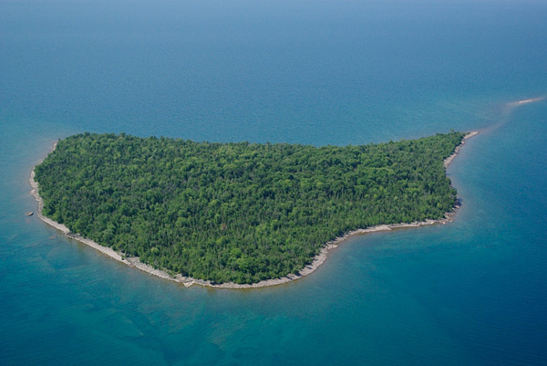 The Nauru Project: Rabbit Island Artist Residency: The Story of a ...