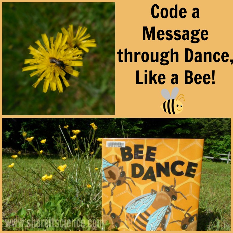 Share it! Science : Communicate Like a Bee! Code a Message in Dance