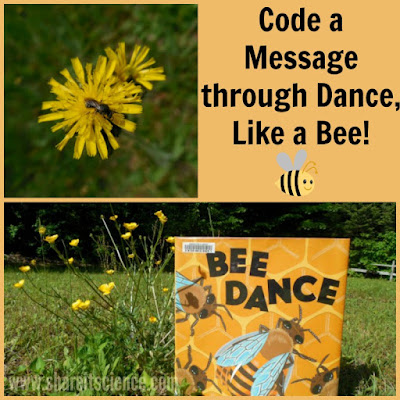 Share it! Science : Communicate Like a Bee! Code a Message in Dance