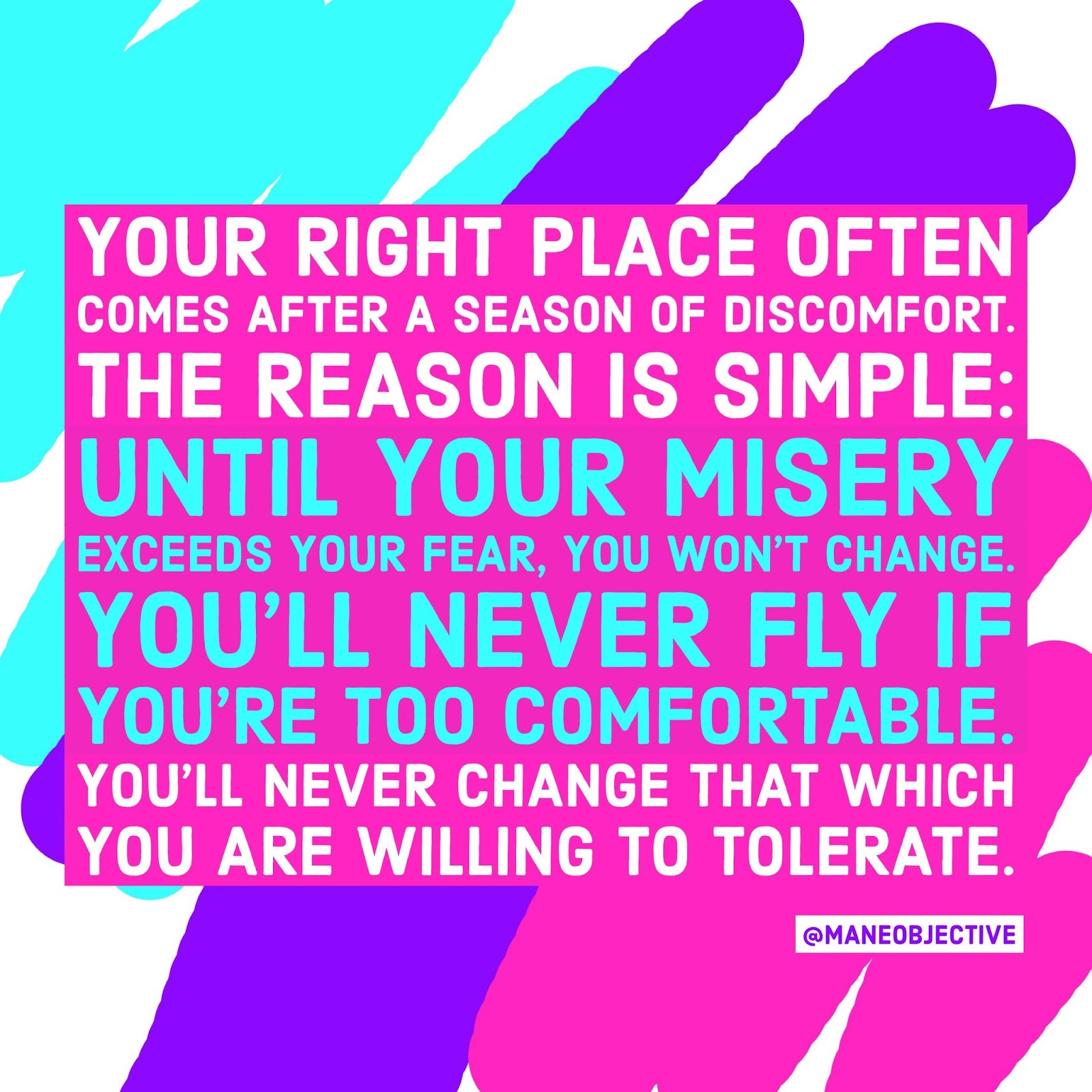 You'll Never Fly If You're Too Comfortable. | The Mane Objective