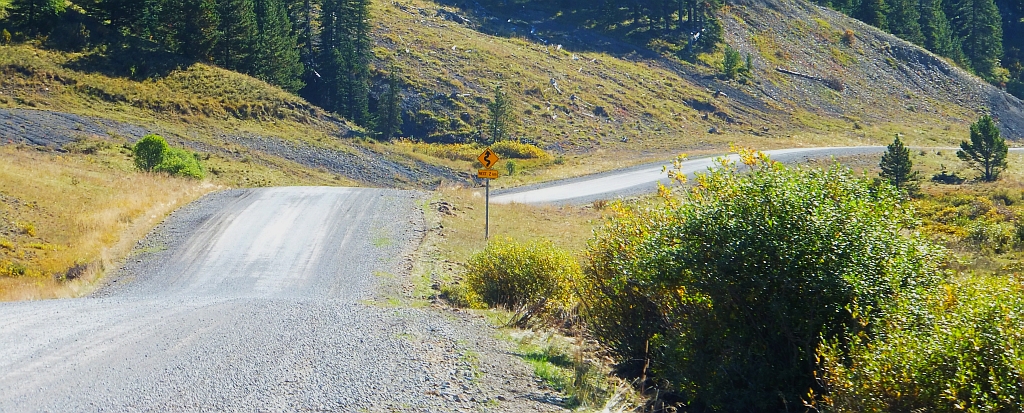 The Forestry Trunk Road