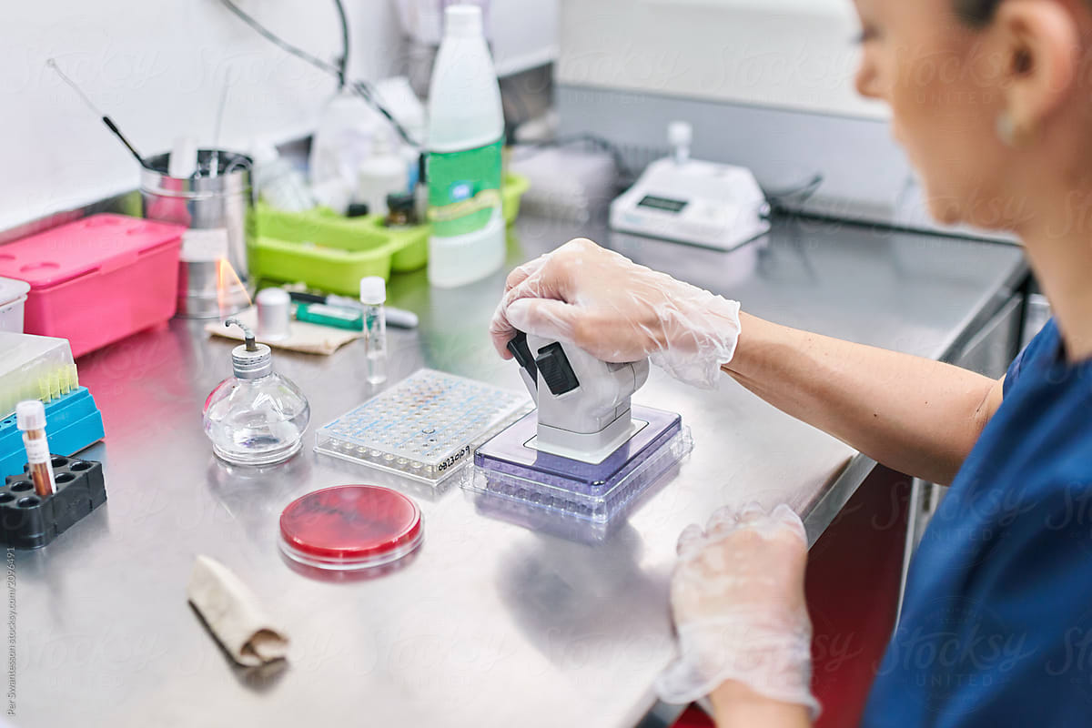 Mikrobiyoloji Laboratuvarında Çalışma Kuralları Microbiology Laboratory Turkey