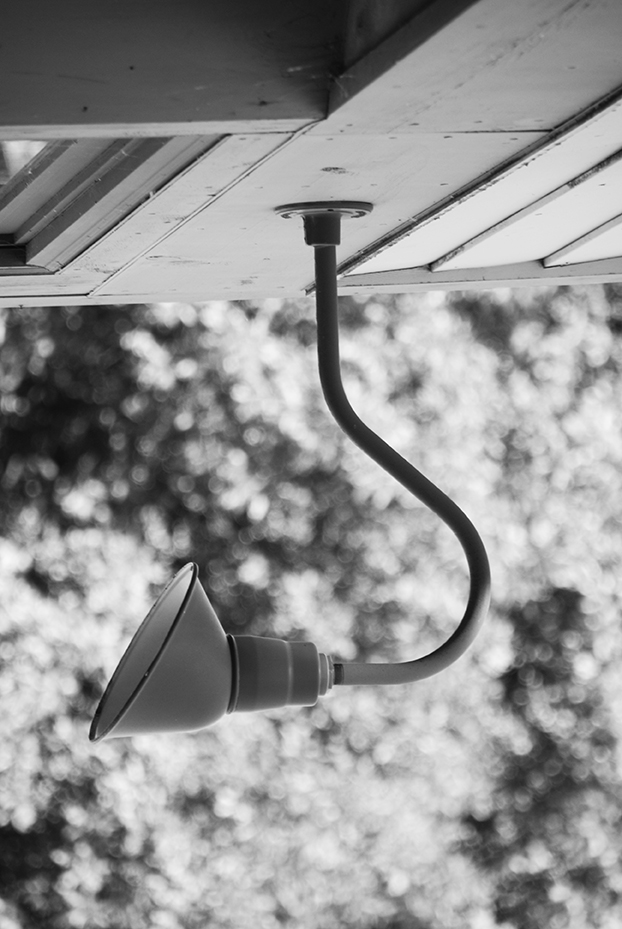 My Cup Overflows: Alphabet Photography