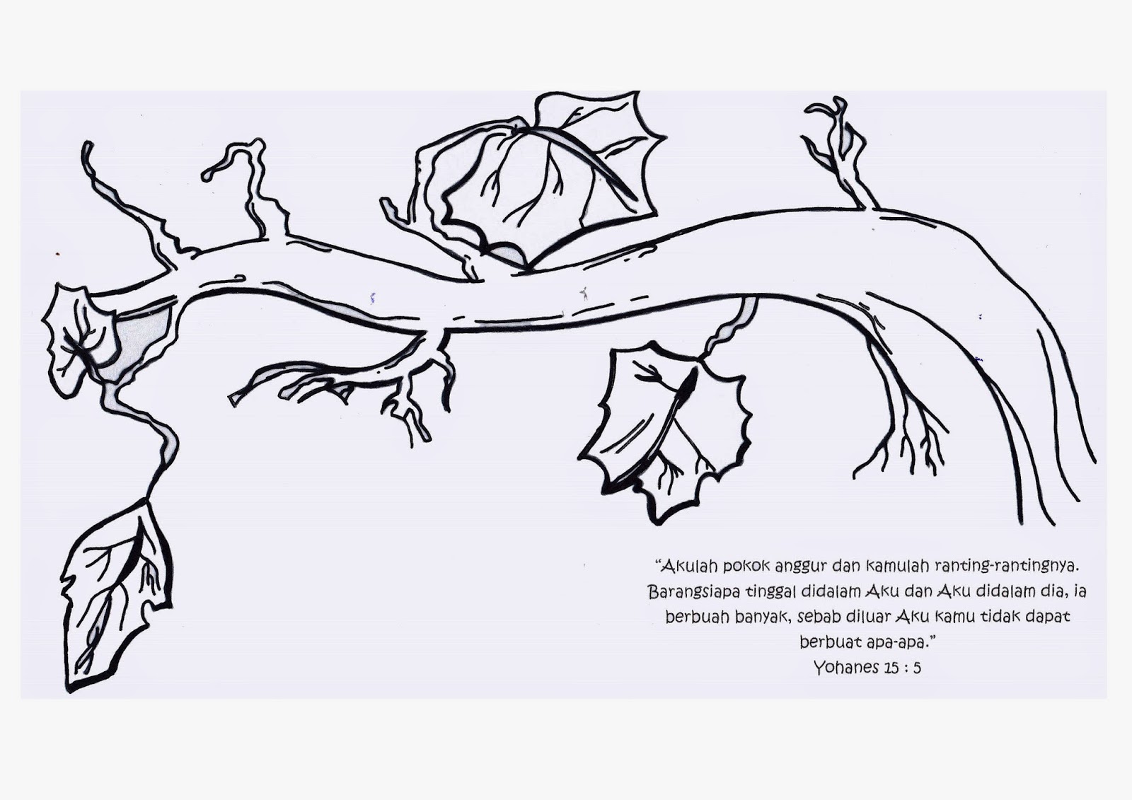 Pokok anggur yang benar -> Yohanes 15 : 1 - 8