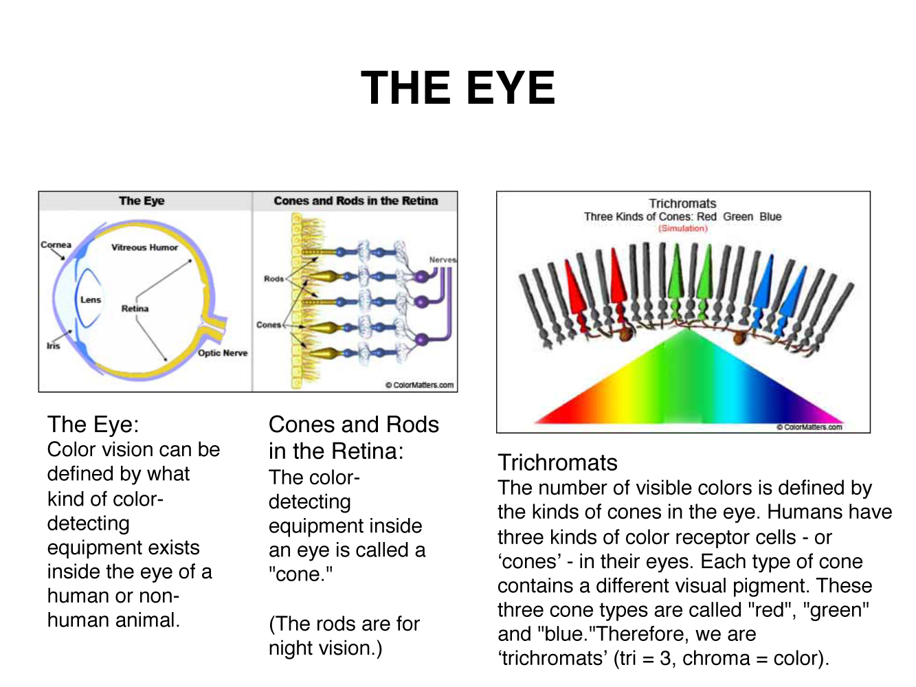 Art Quill Studio: The Nature of Color[1-5]Art ResourceMarie-Therese ...