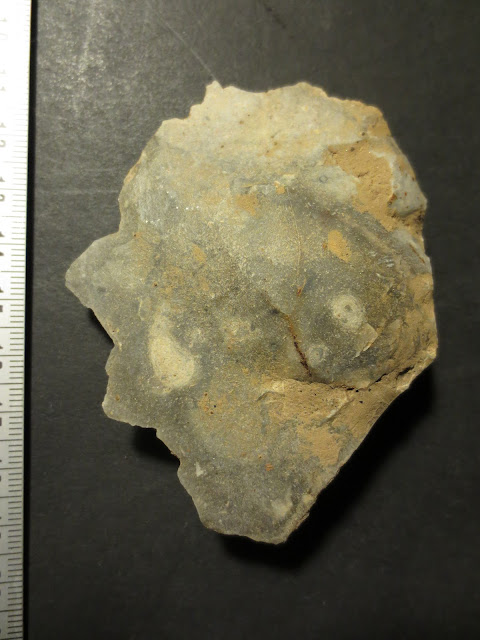 Archaeology of Portable Rock Art: Flint flake notched beyond ...