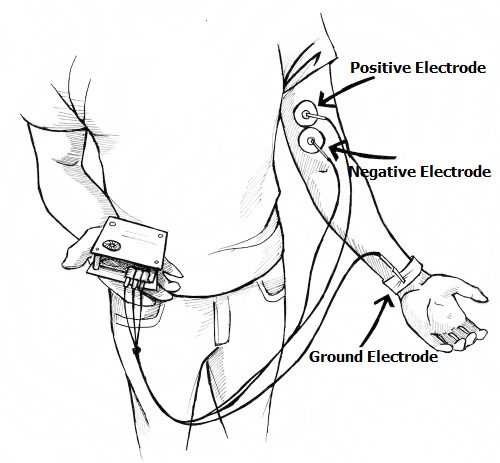 Fitcer: Emg Activity : Visible Muscle Activation