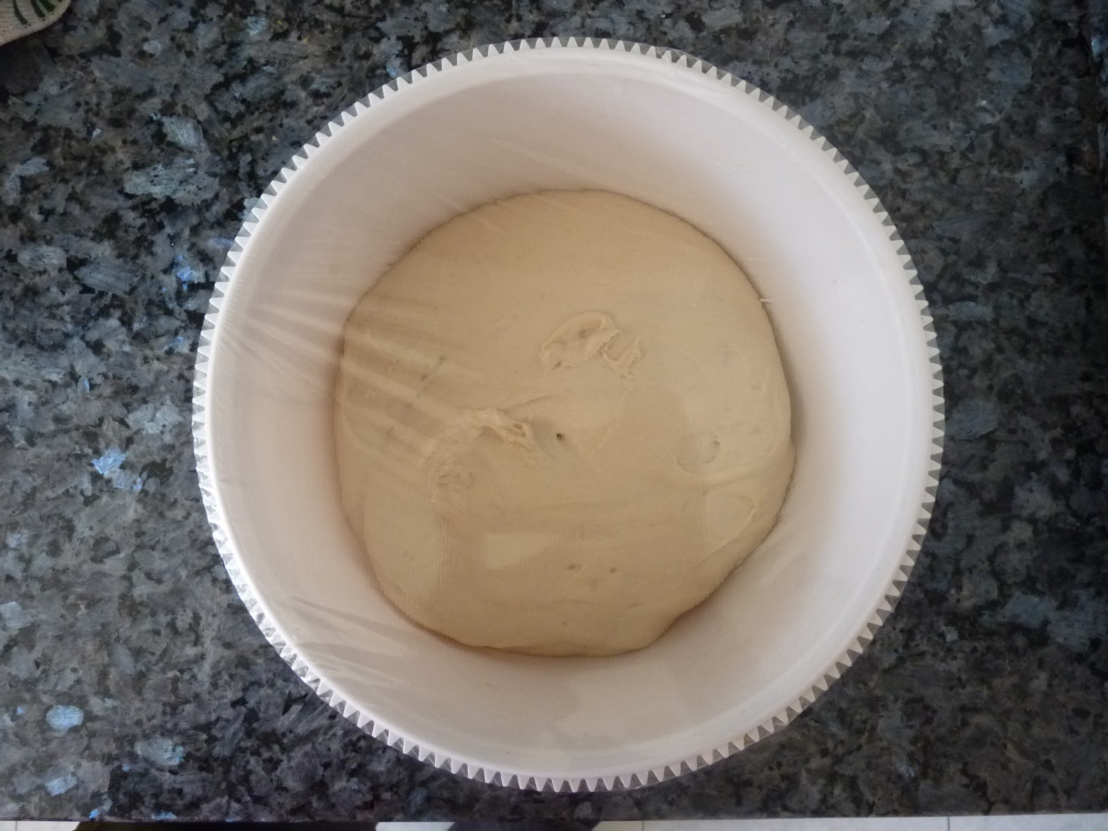 PANES DE UN NO-PANADERO: PANES DE VIENA Y OTRAS MASAS ENRIQUECIDAS