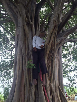 THe Talk Naija: Photos: Man found hanging from tree, suicide note recovered