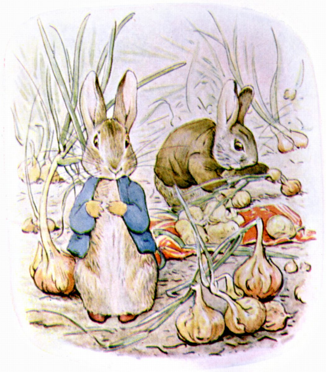 Oceano Nox: L'univers de Beatrix Potter
