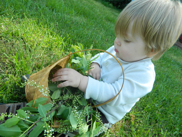 Real Inspired: Picking Branches