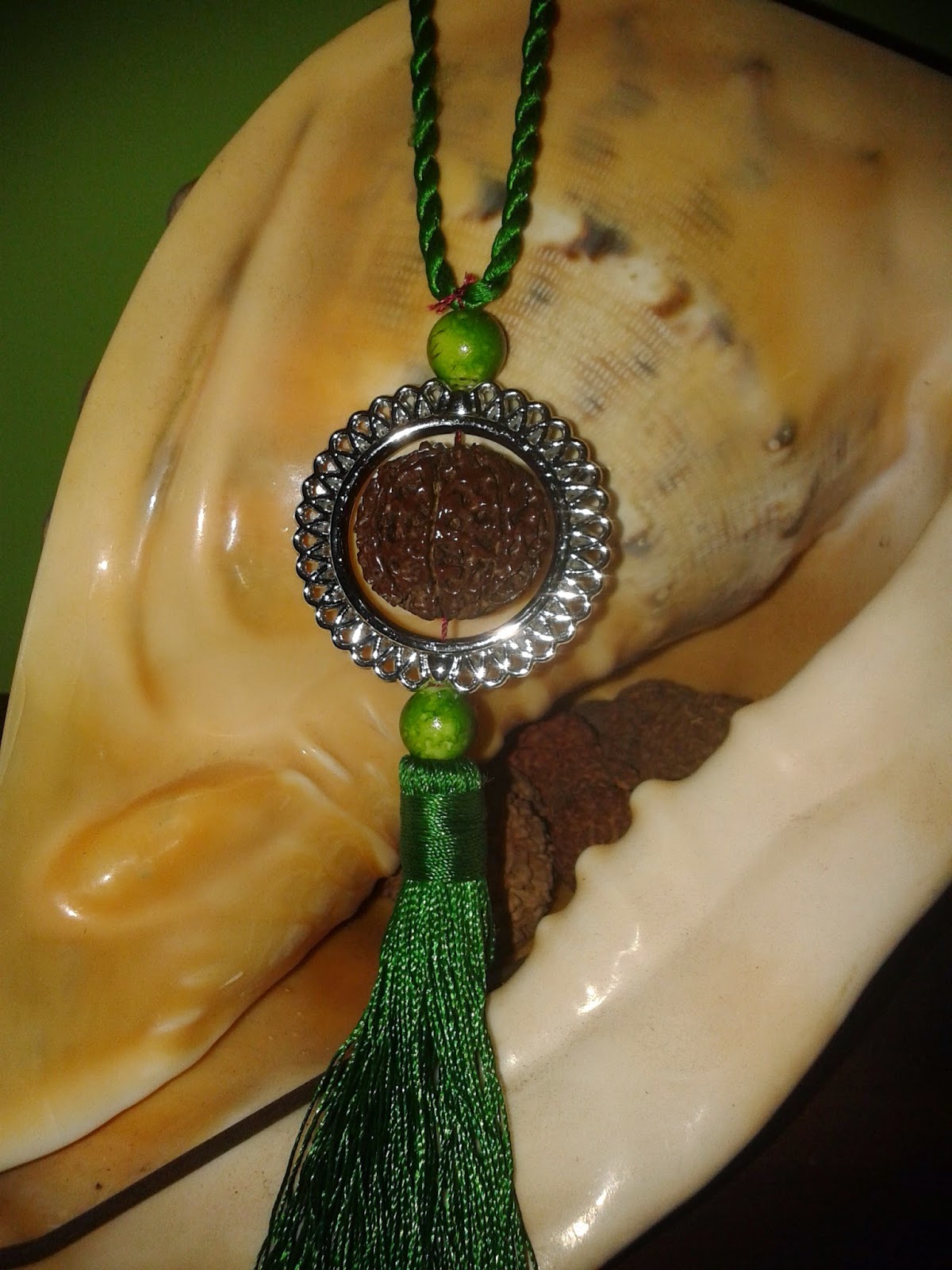 Informasi biji Ganitri / Rudraksha / Jenistri: Genitri / Ganitri ...